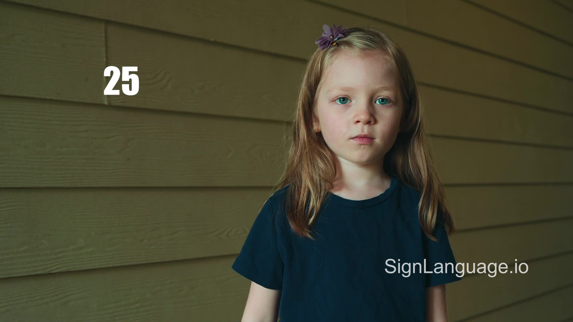 25.0 in ASL - Example # 1 - American Sign Language