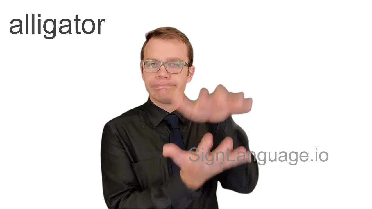 alligator in ASL - Example # 2 - American Sign Language