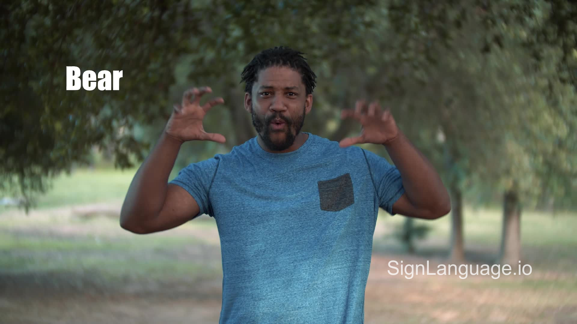 bear in ASL - Example # 6 - American Sign Language