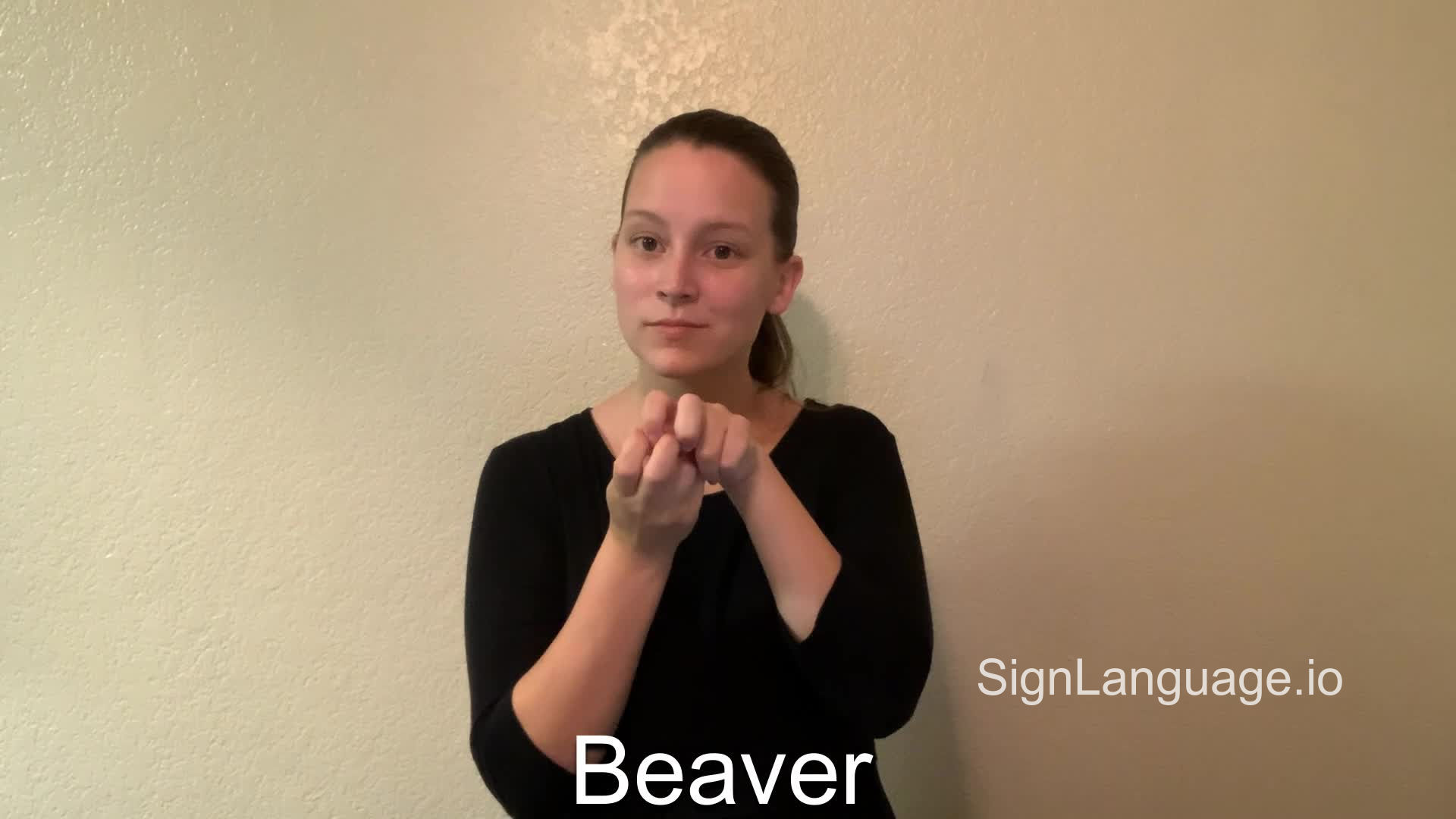 beaver in ASL - Example # 1 - American Sign Language