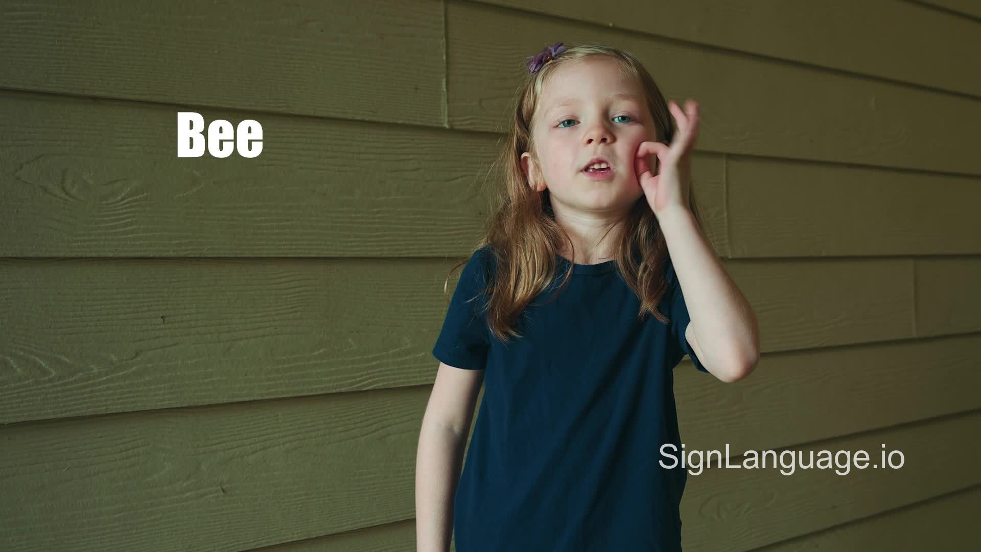bee in ASL - Example # 3 - American Sign Language