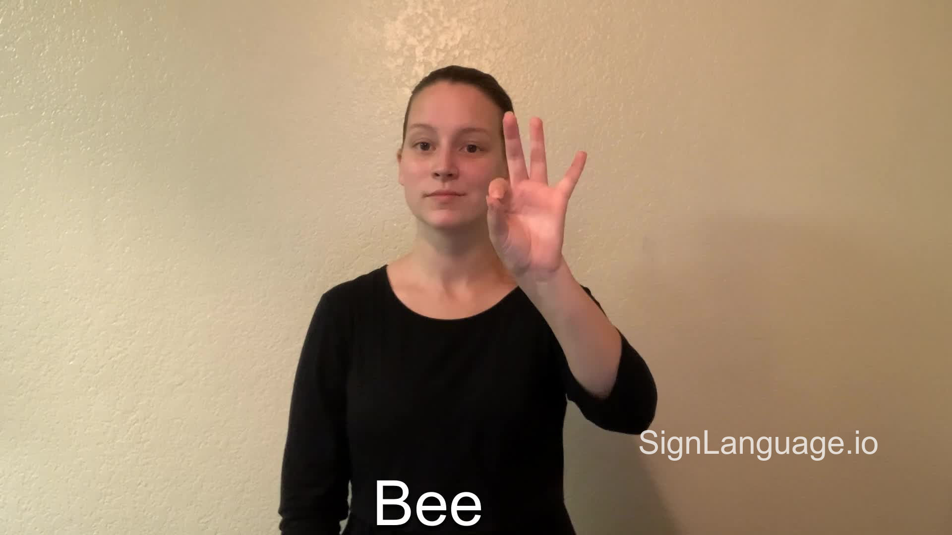 bee in ASL - Example # 2 - American Sign Language