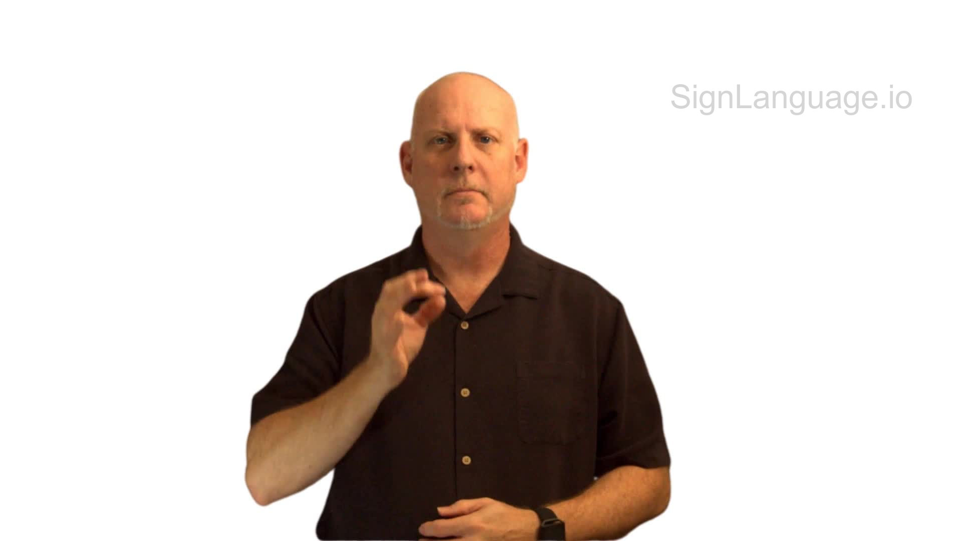 bee in ASL - Example # 1 - American Sign Language