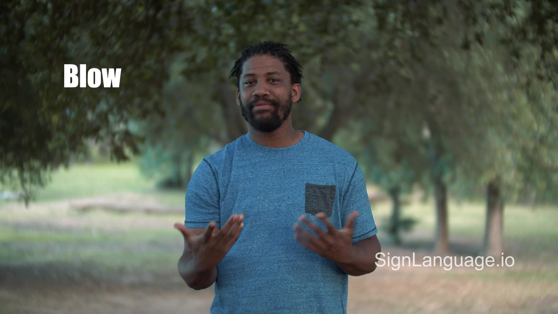 blow in ASL - Example # 1 - American Sign Language