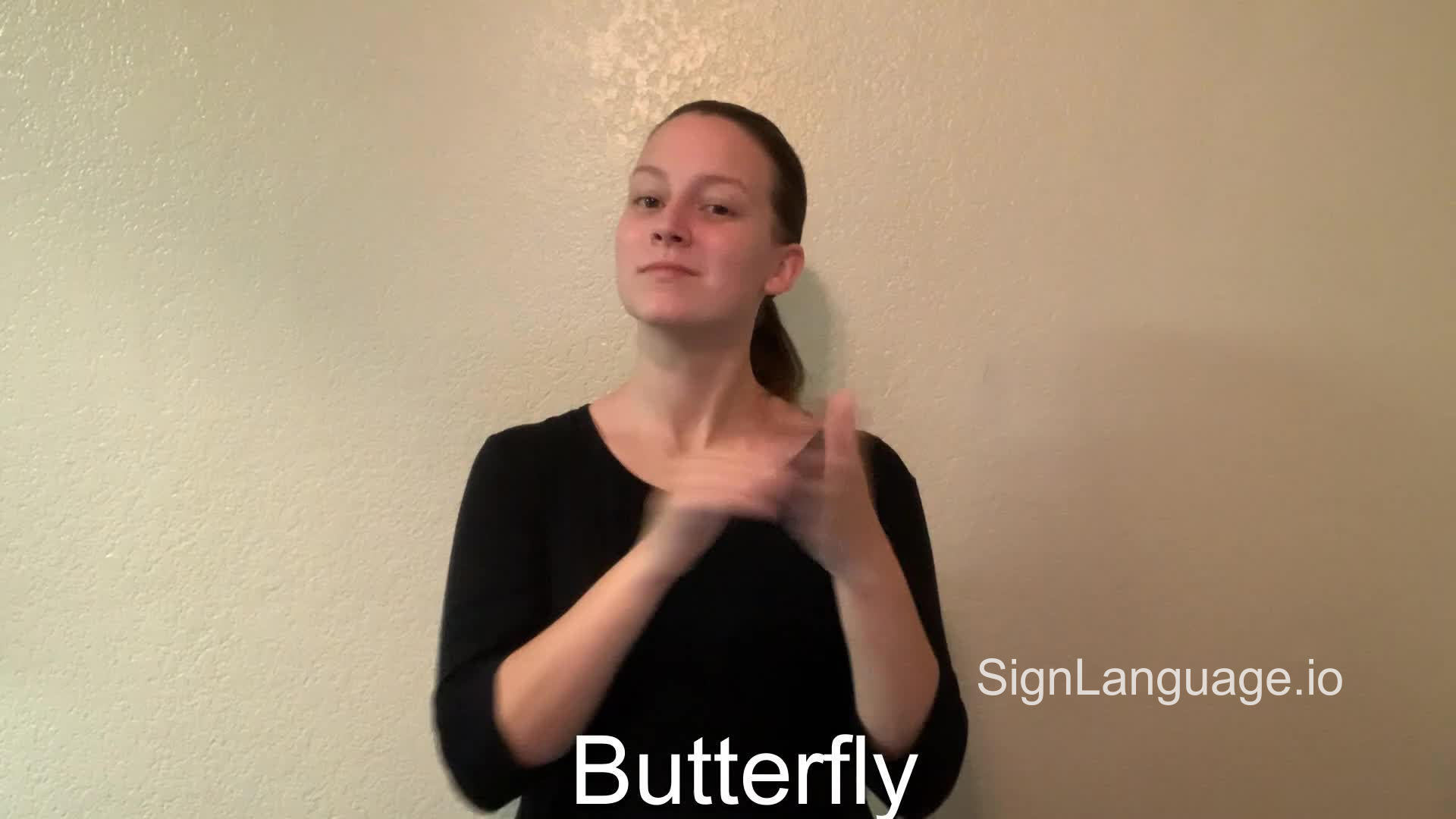 butterfly in ASL - Example # 7 - American Sign Language