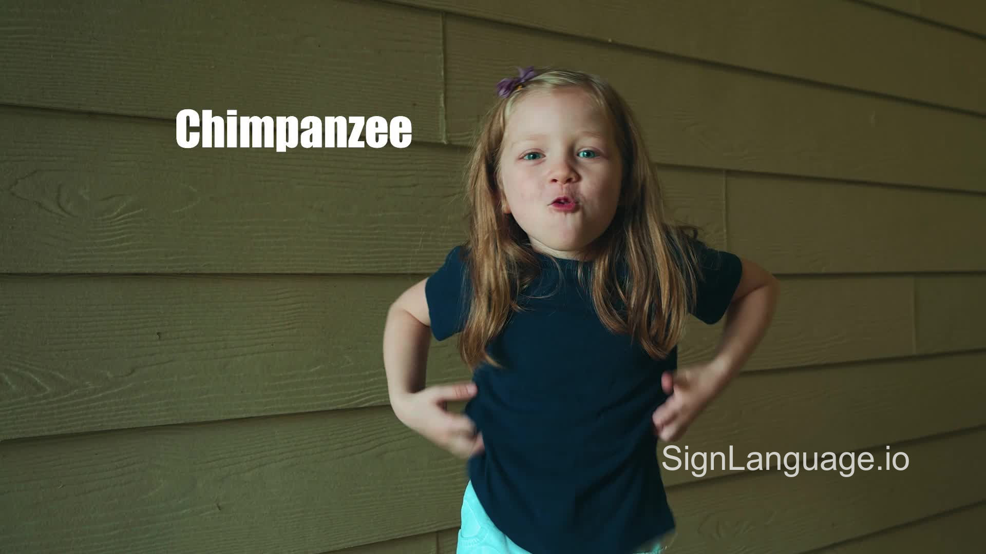 chimpanzee in ASL - Example # 1 - American Sign Language