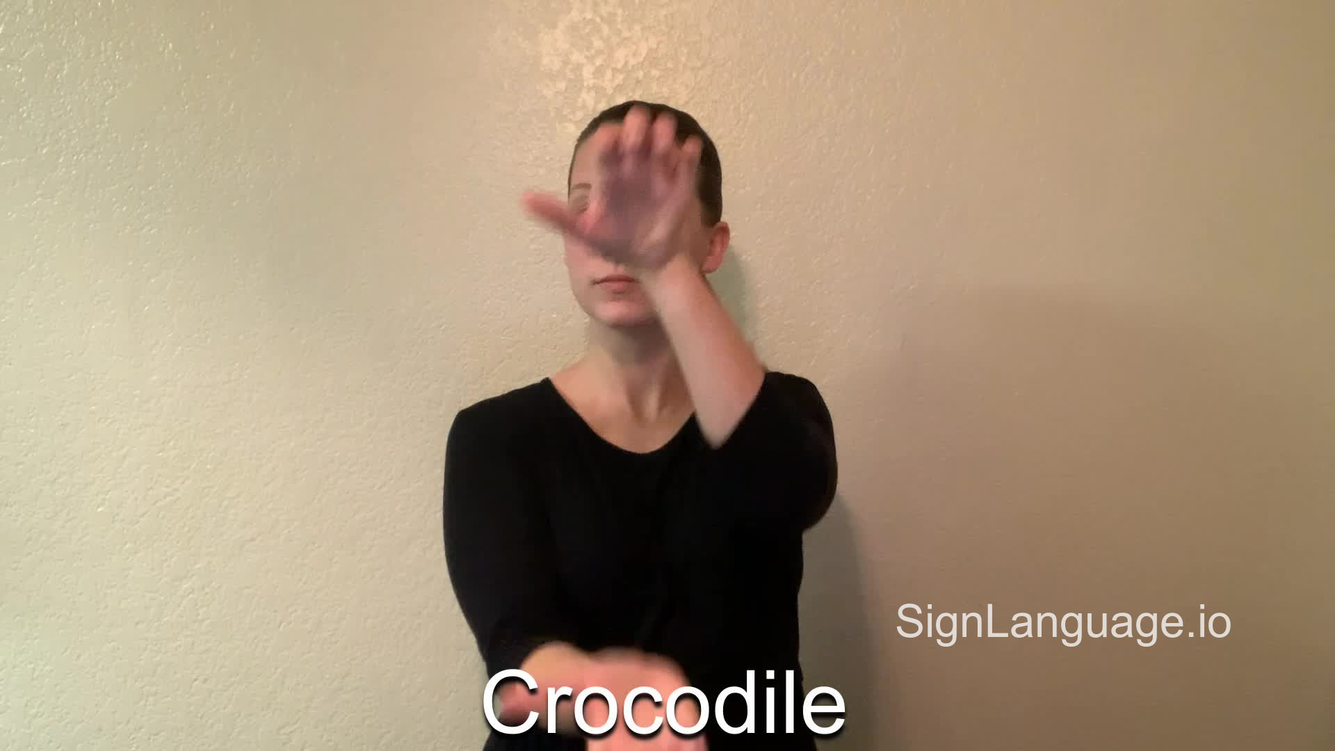 crocodile in ASL - Example # 1 - American Sign Language