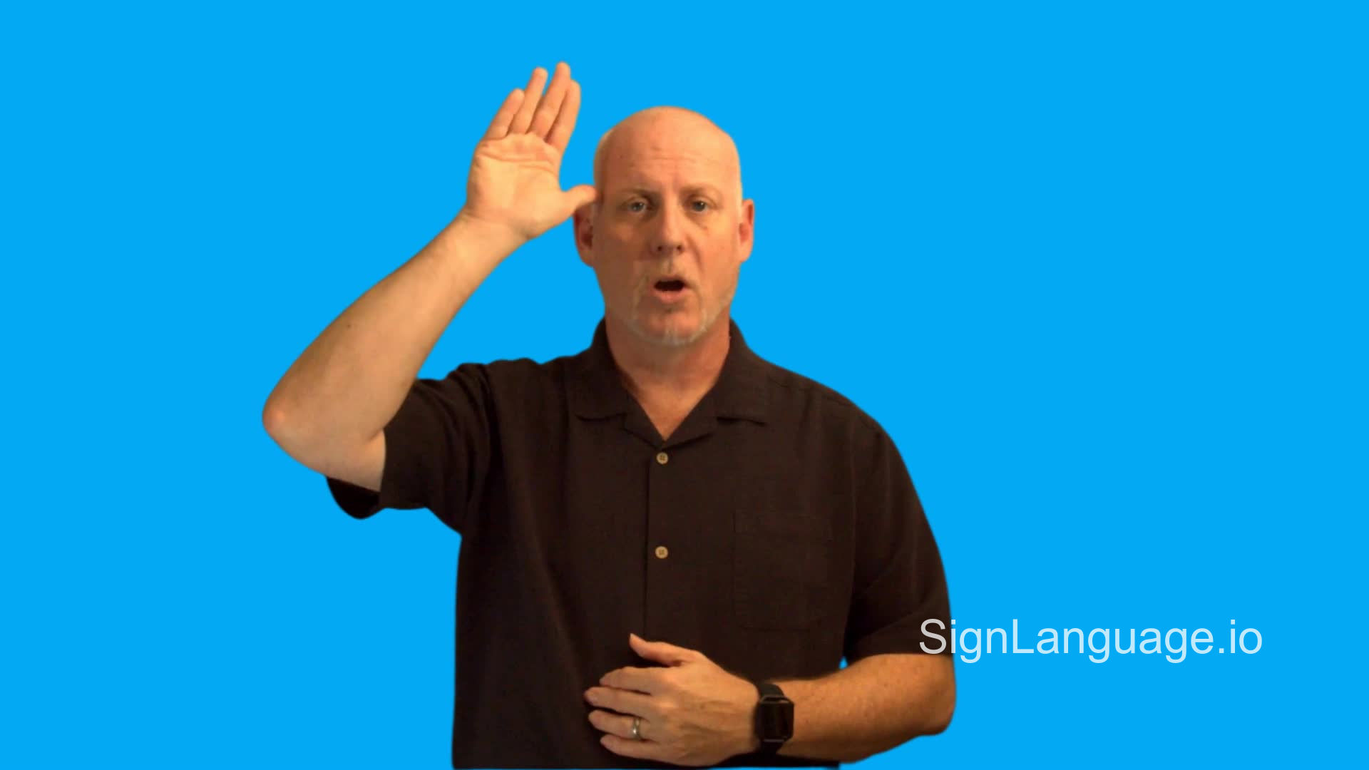 donkey in ASL - Example # 1 - American Sign Language
