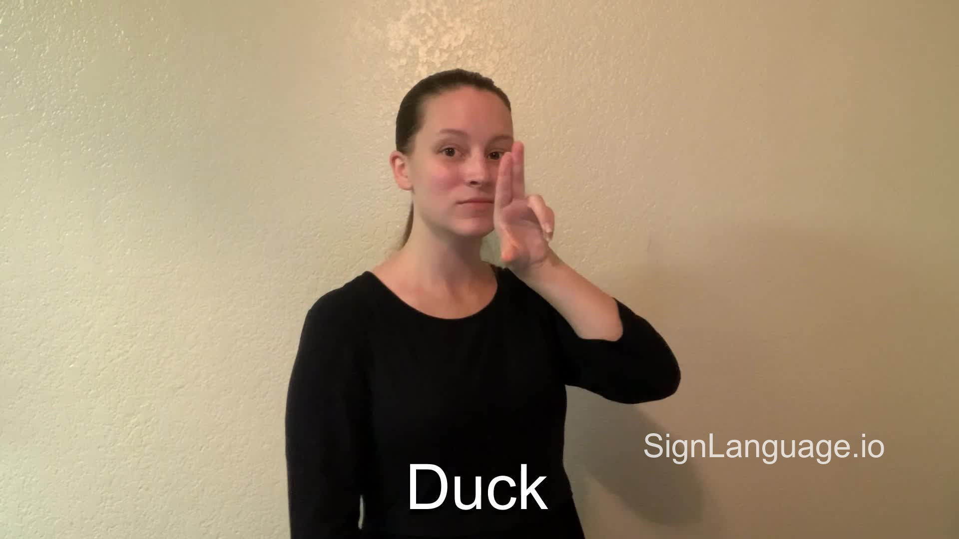 duck in ASL - Example # 5 - American Sign Language