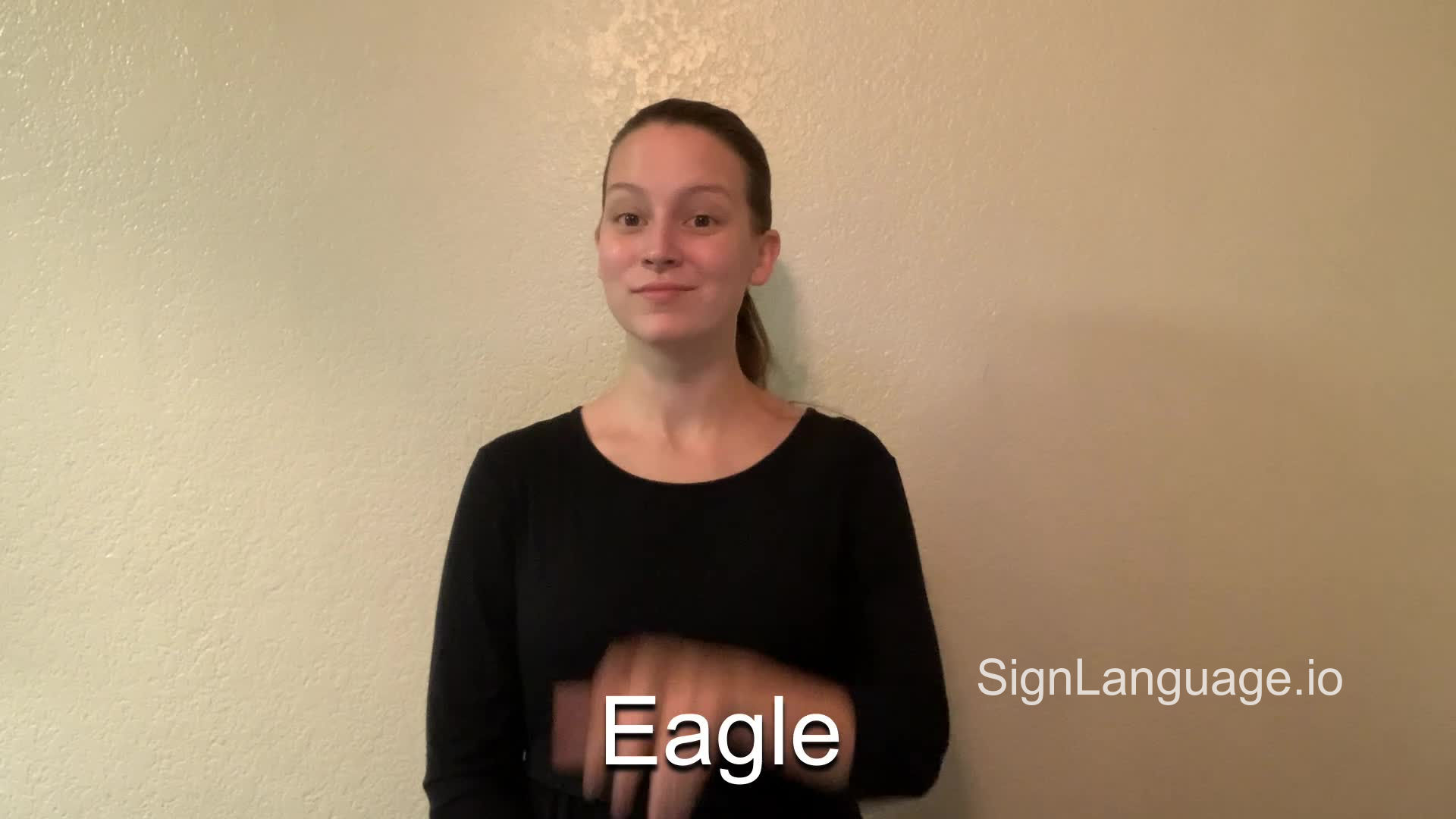 eagle in ASL - Example # 2 - American Sign Language