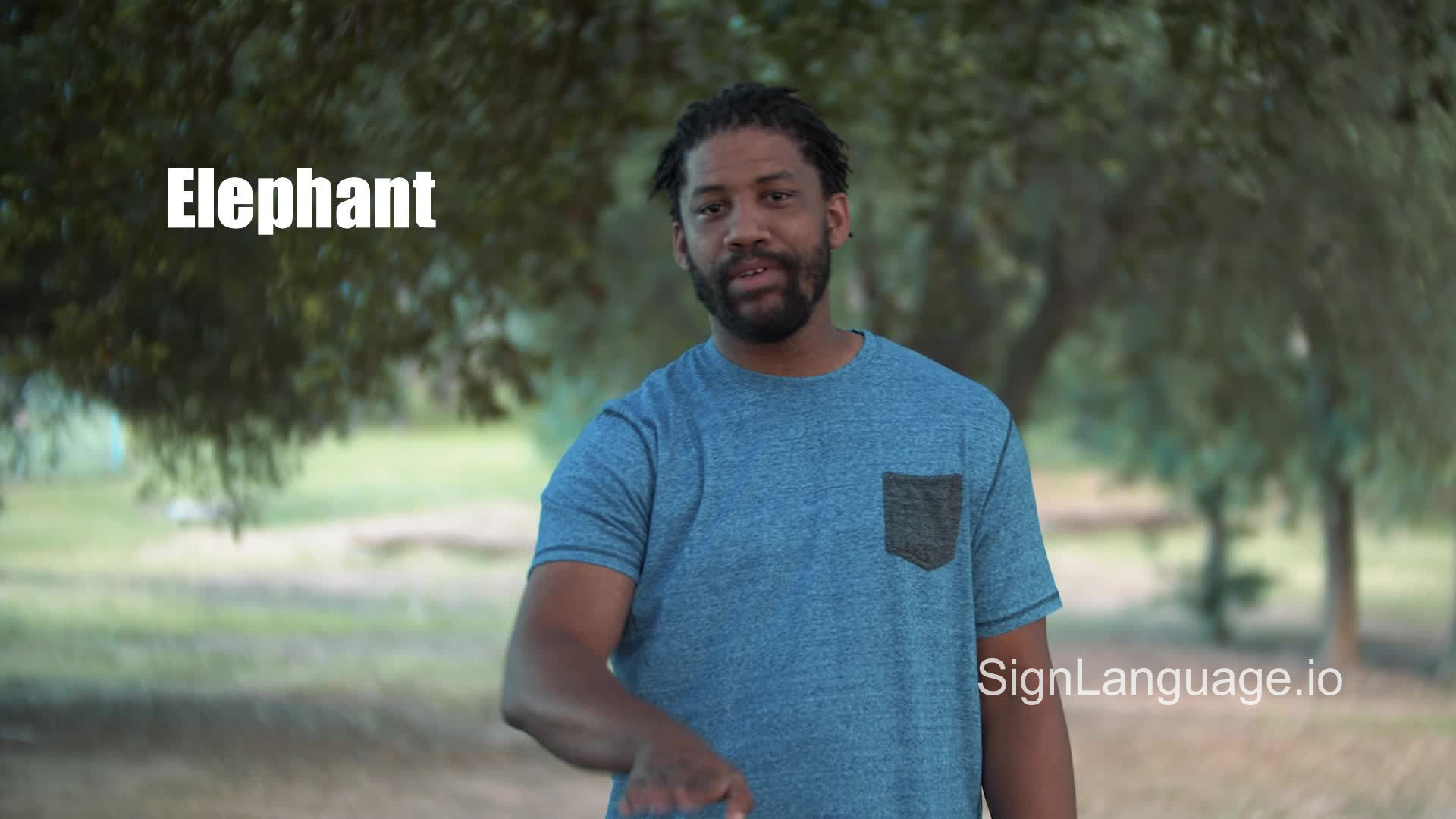 elephant in ASL - Example # 3 - American Sign Language