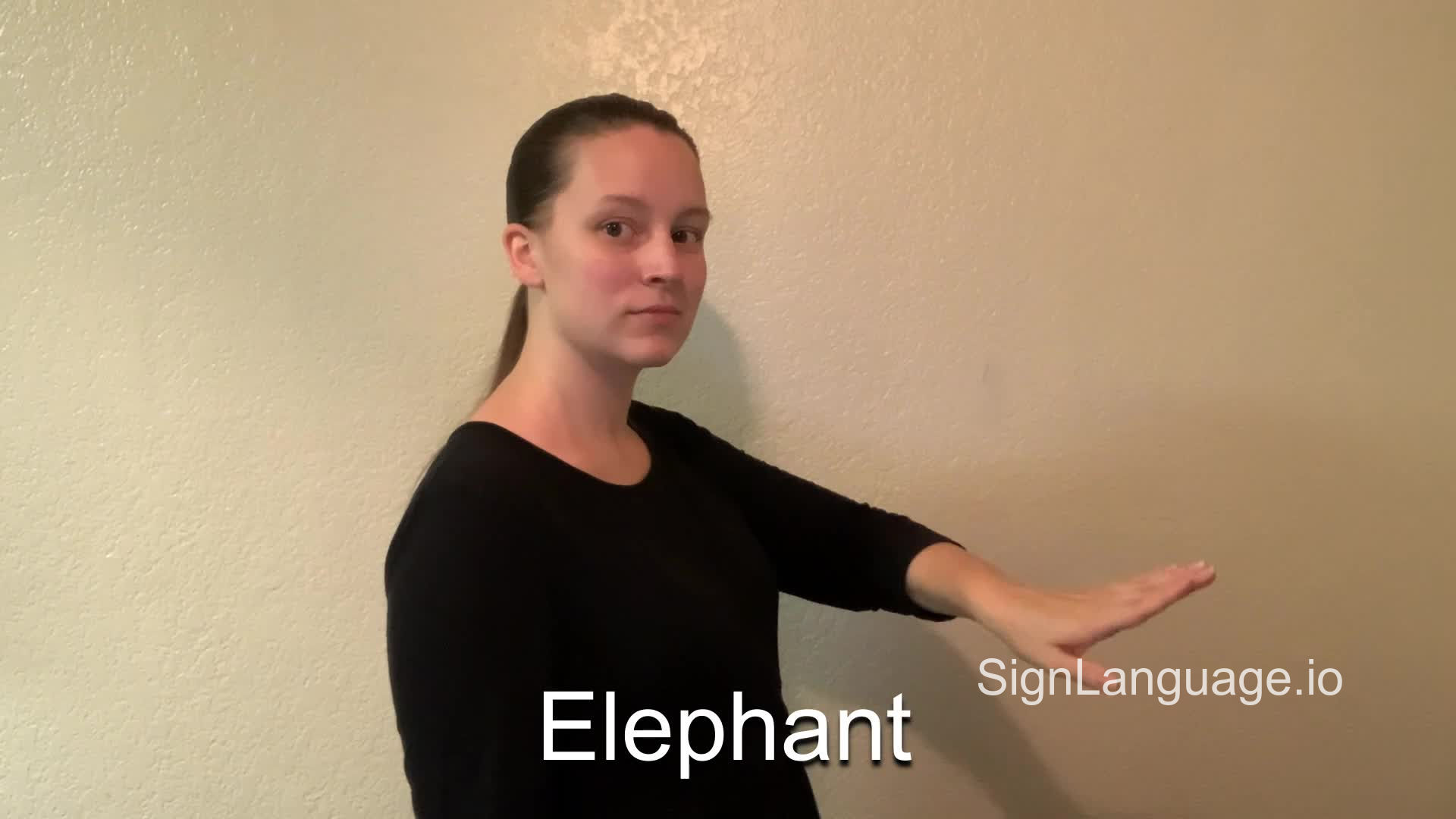 elephant in ASL - Example # 2 - American Sign Language