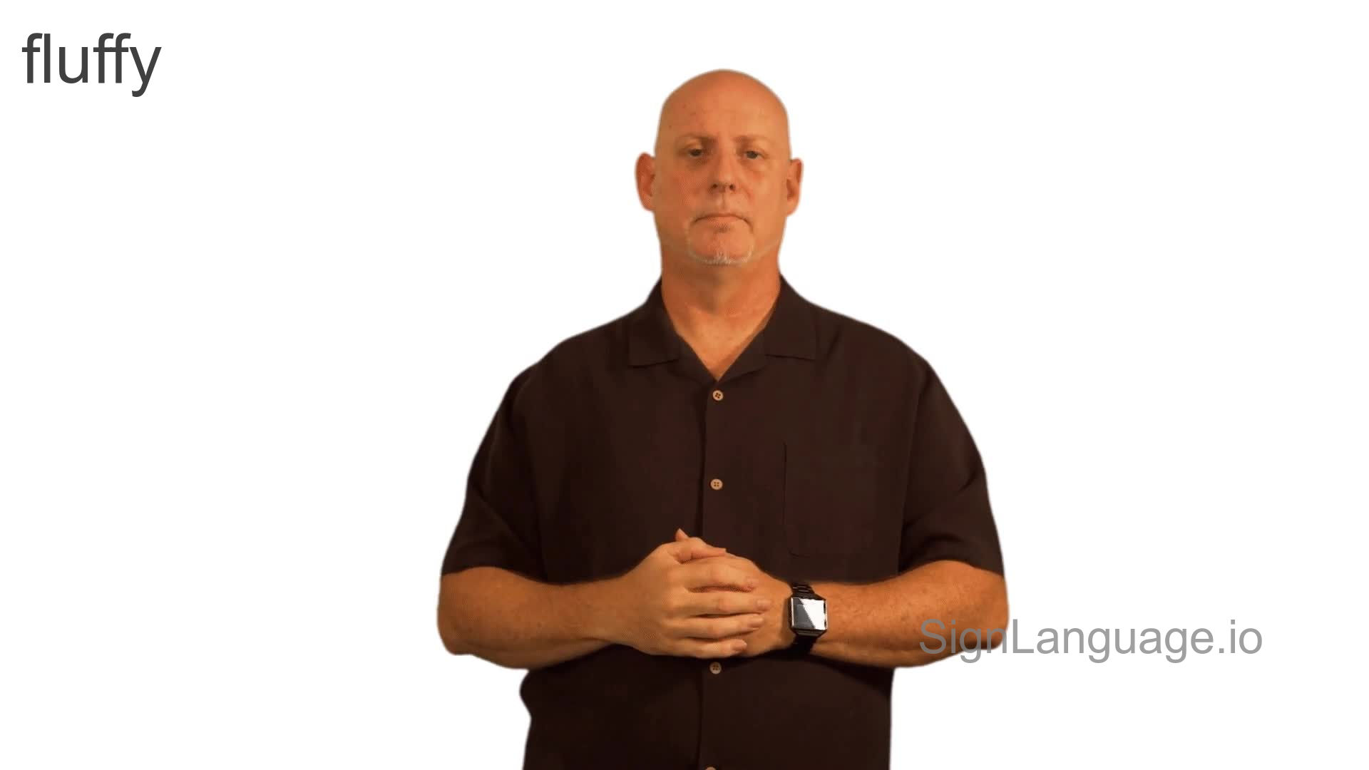 fluffy in ASL - Example # 3 - American Sign Language