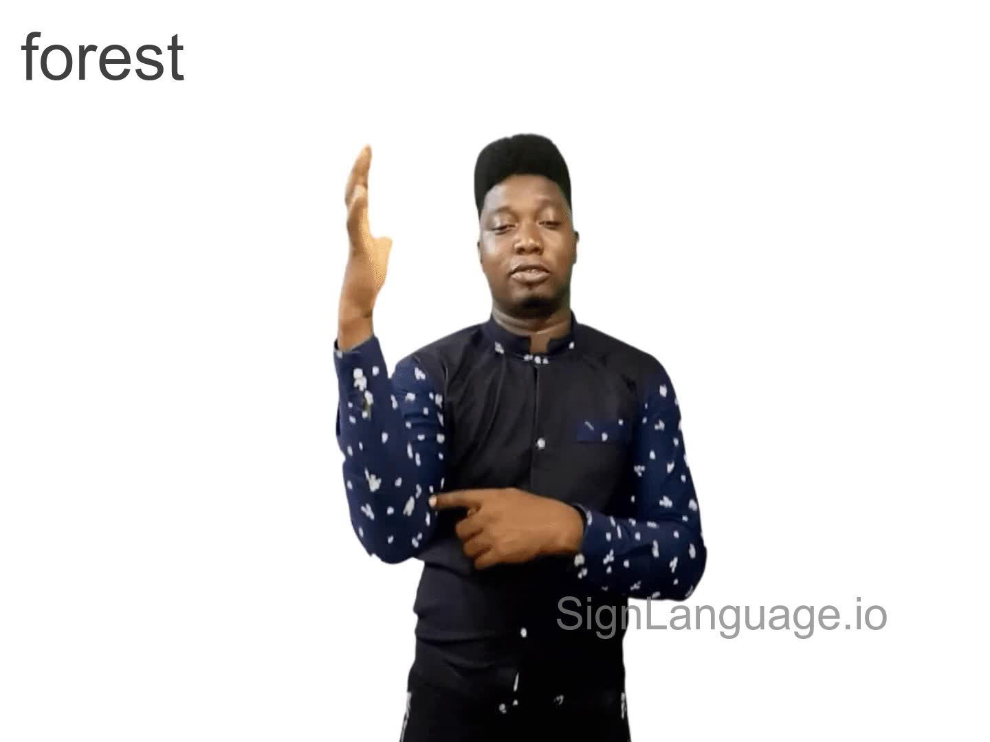 forest in ASL - Example # 6 - American Sign Language