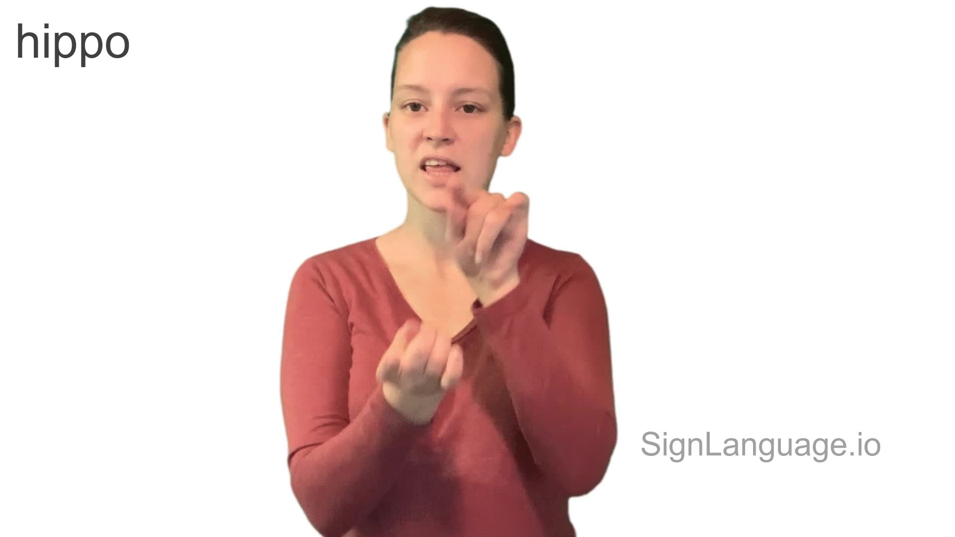 hippo in ASL - Example # 1 - American Sign Language