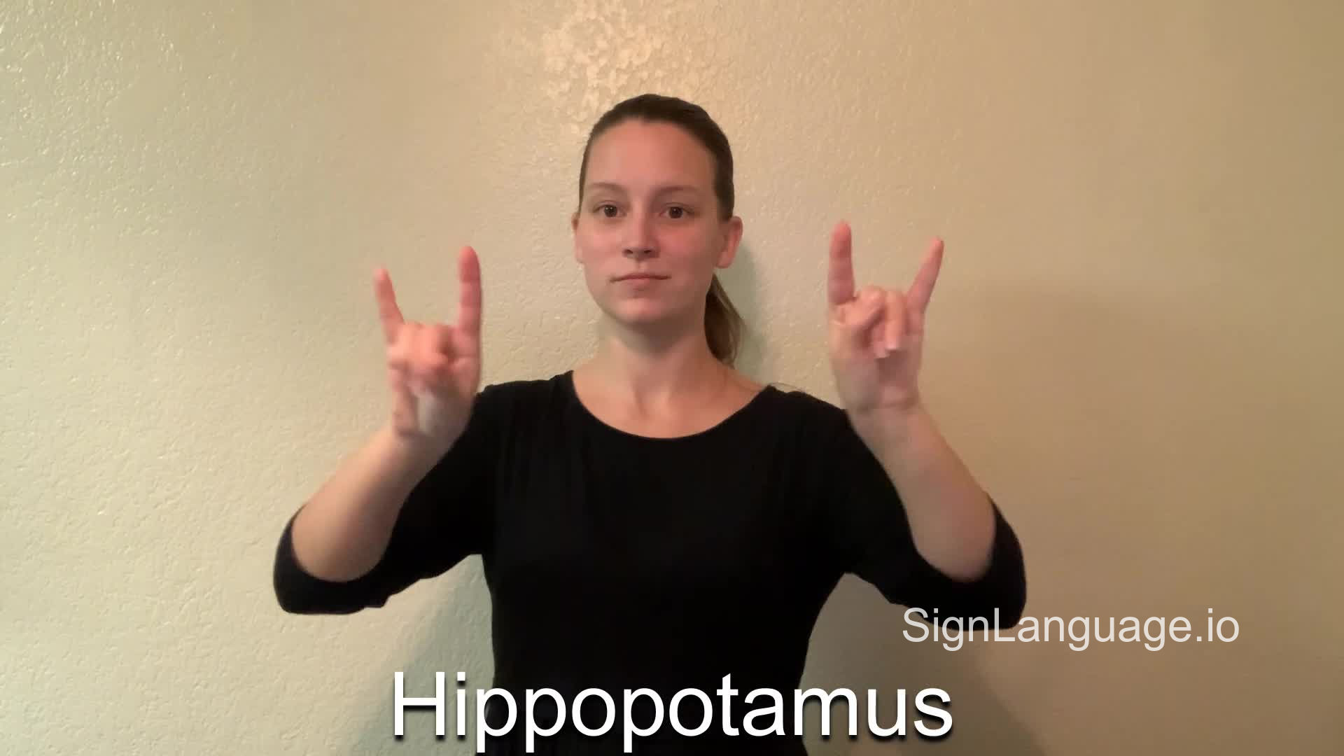 hippopotamus in ASL - Example # 1 - American Sign Language