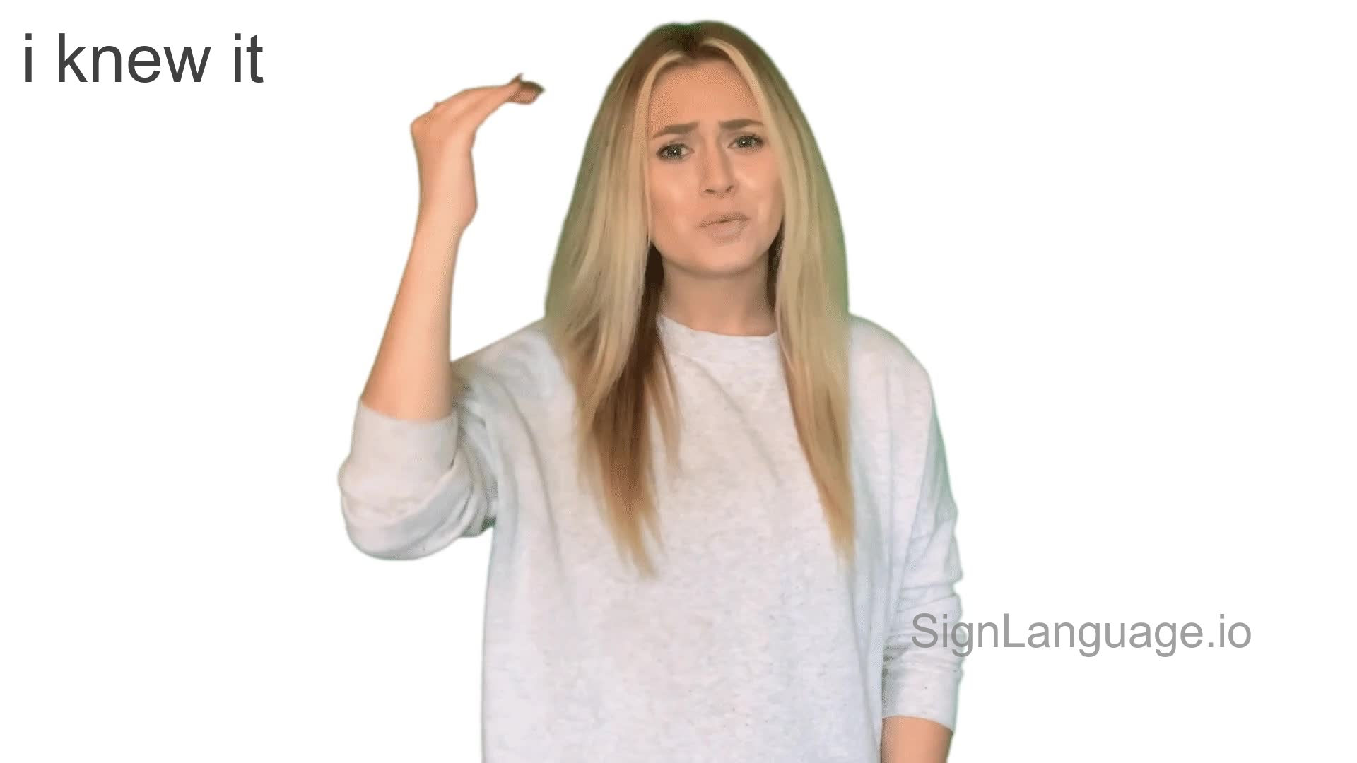 i knew it in ASL - Example # 2 - American Sign Language