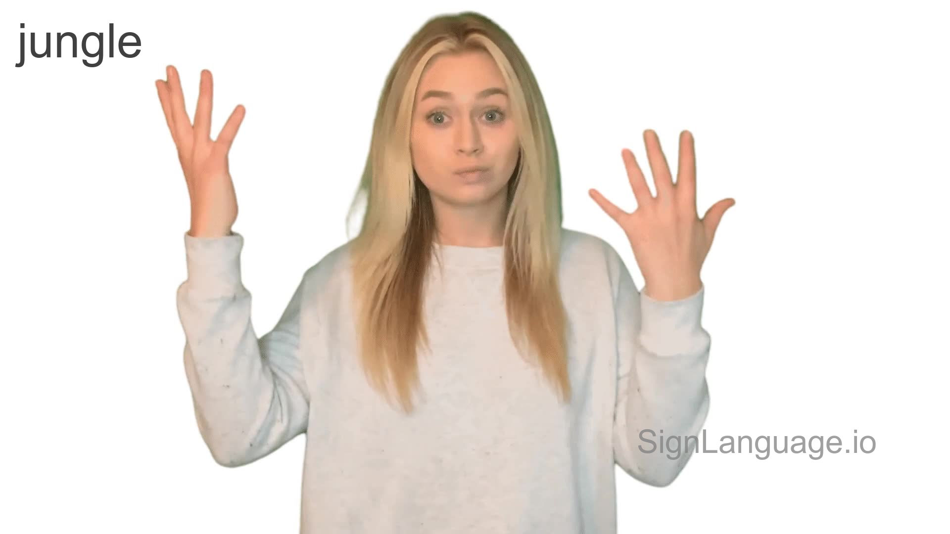 jungle in ASL - Example # 2 - American Sign Language