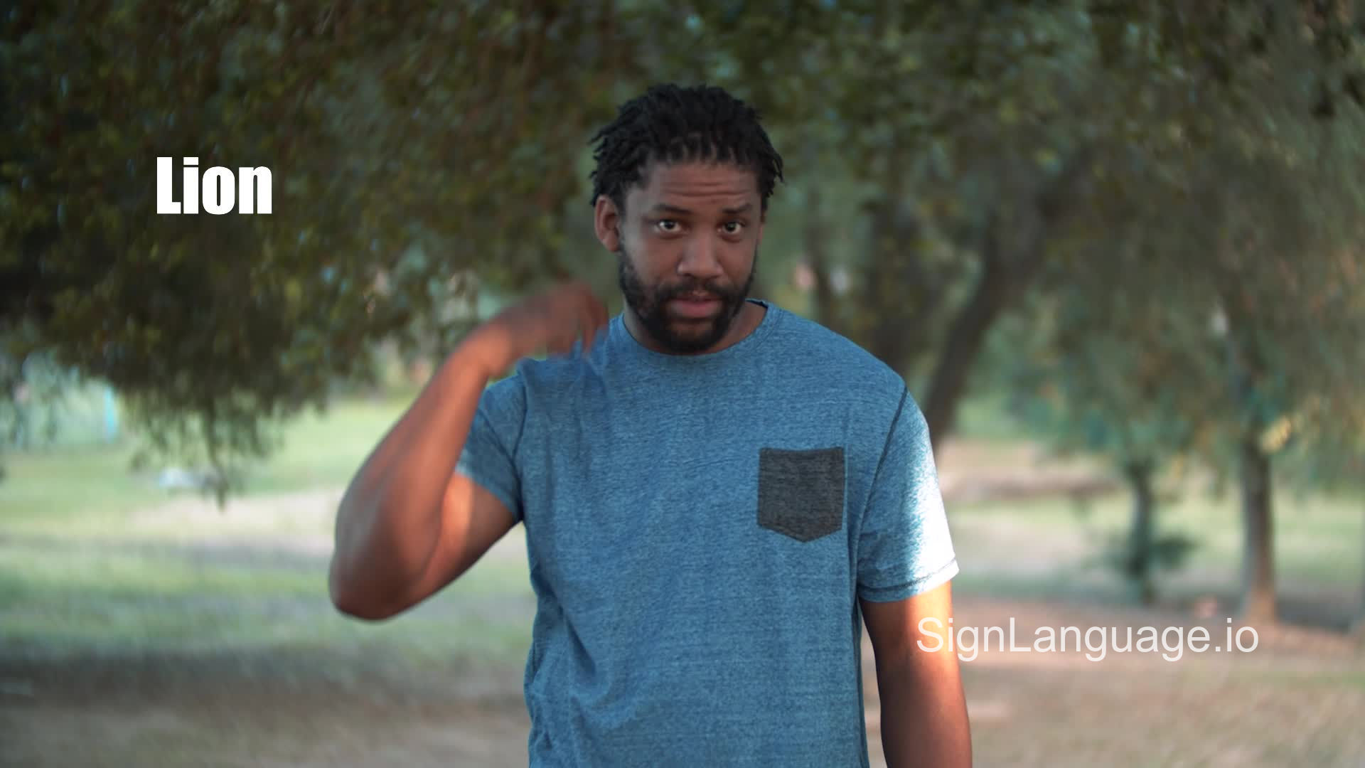 Lion in ASL - American Sign Language - Example #2