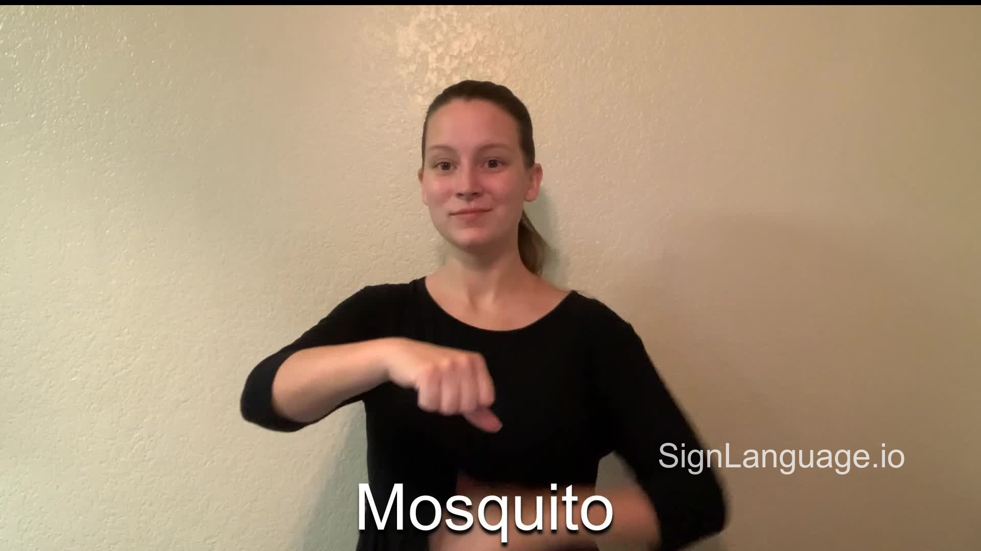 mosquito in ASL - Example # 2 - American Sign Language