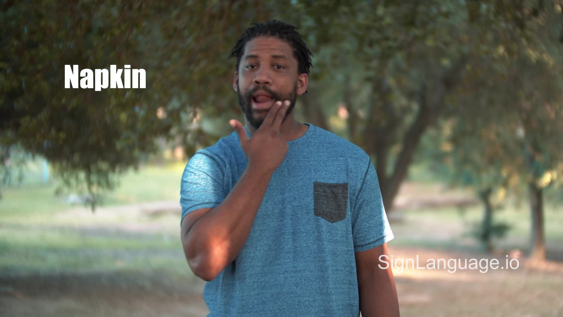 Napkin in ASL - American Sign Language - 1 Video Examples