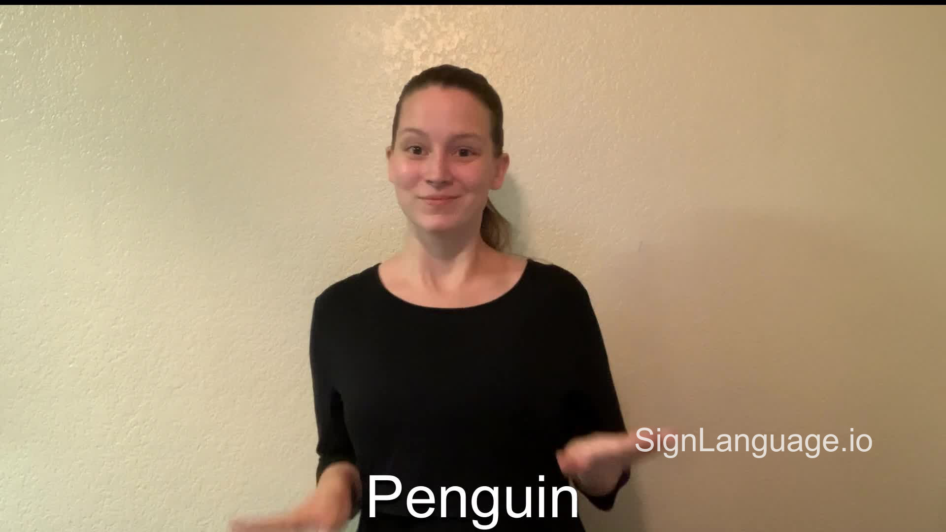penguin in ASL - Example # 2 - American Sign Language