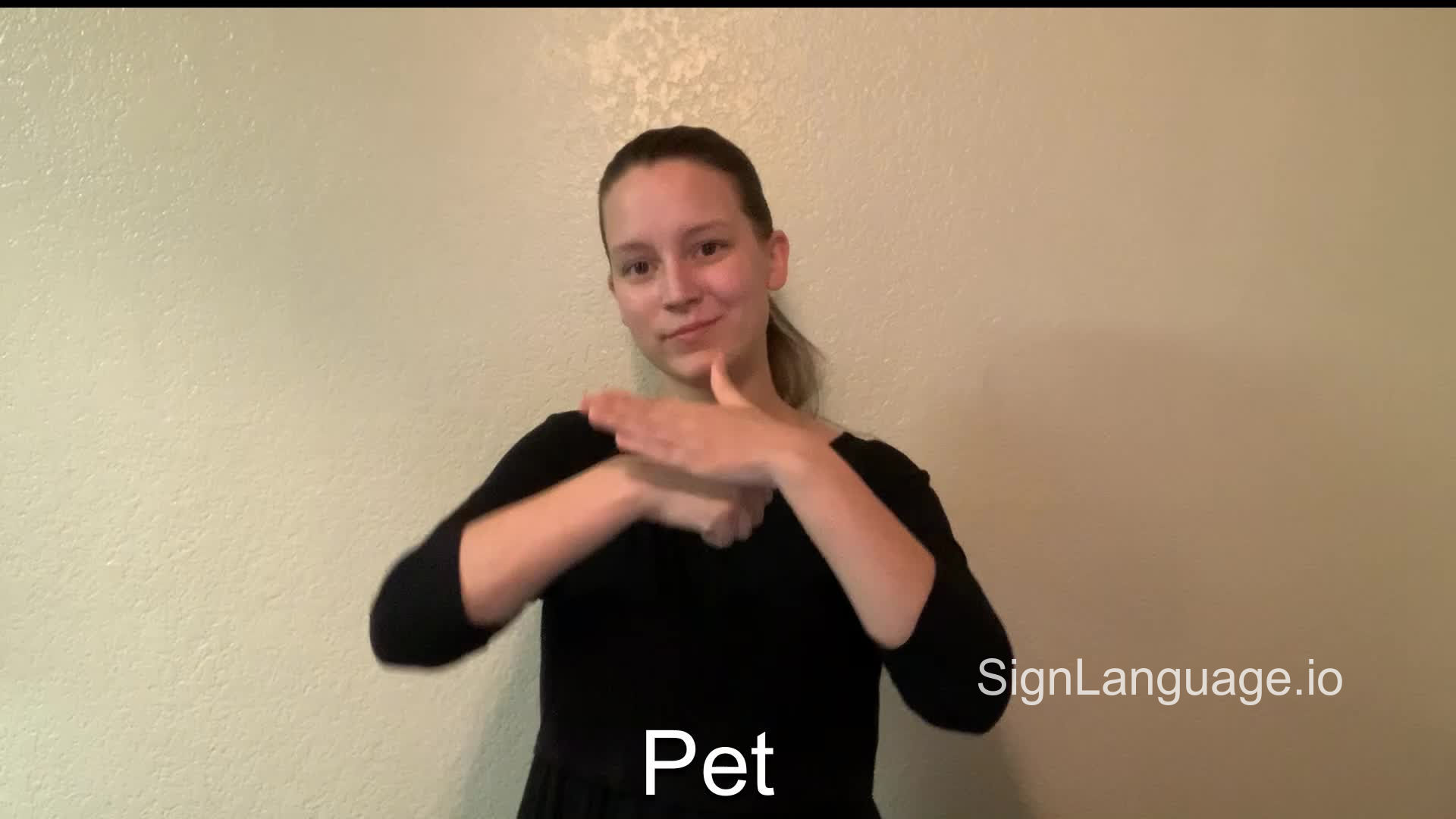 pet in ASL - Example # 2 - American Sign Language