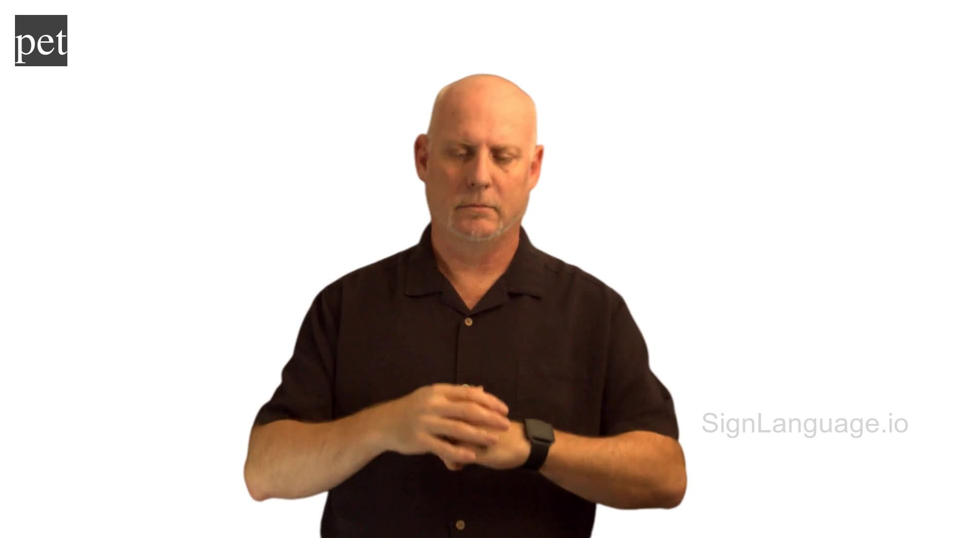 pet in ASL - Example # 1 - American Sign Language