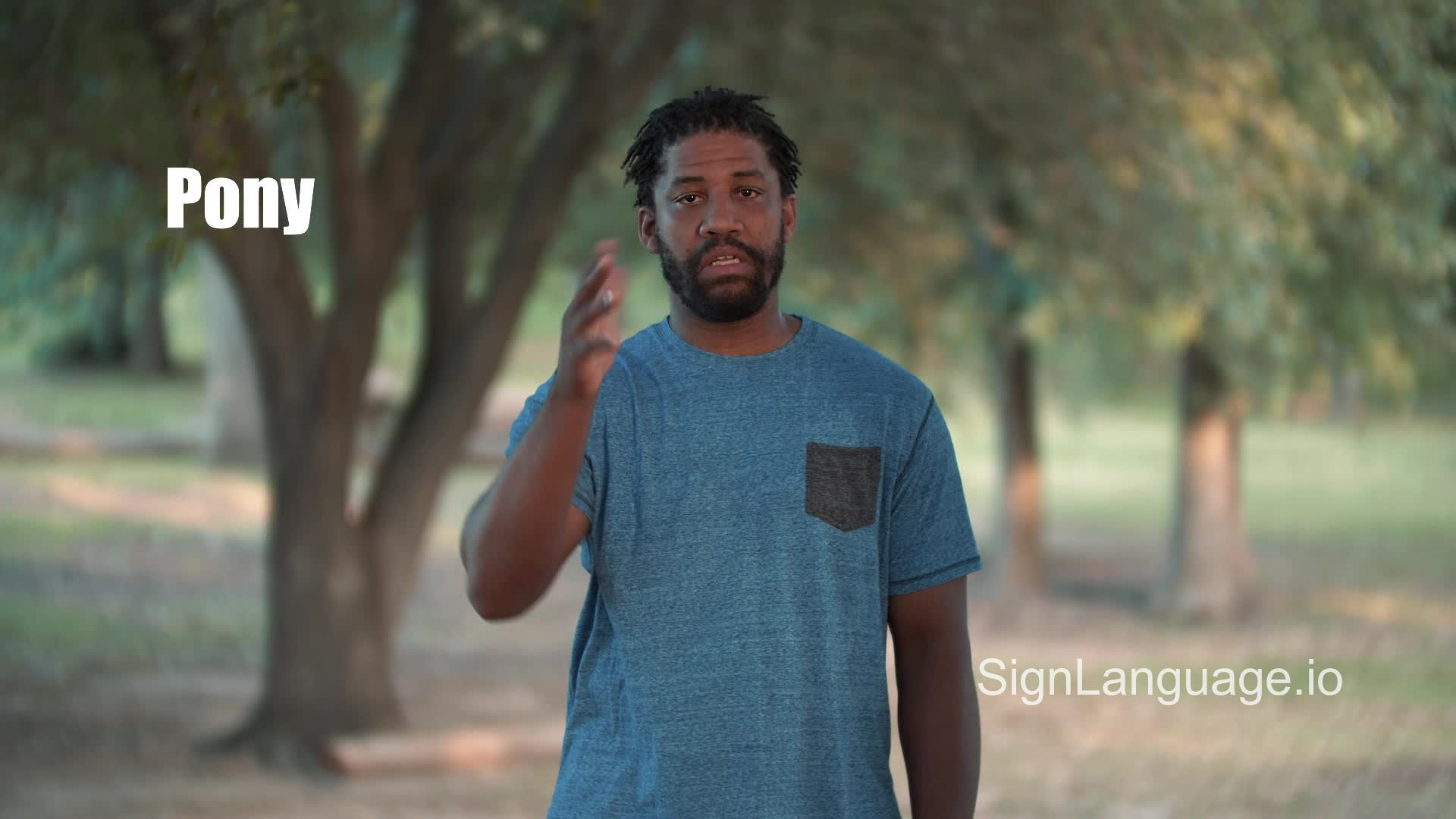 pony in ASL - Example # 1 - American Sign Language