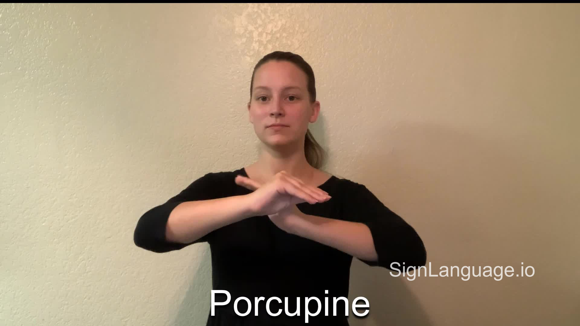 porcupine in ASL - Example # 1 - American Sign Language