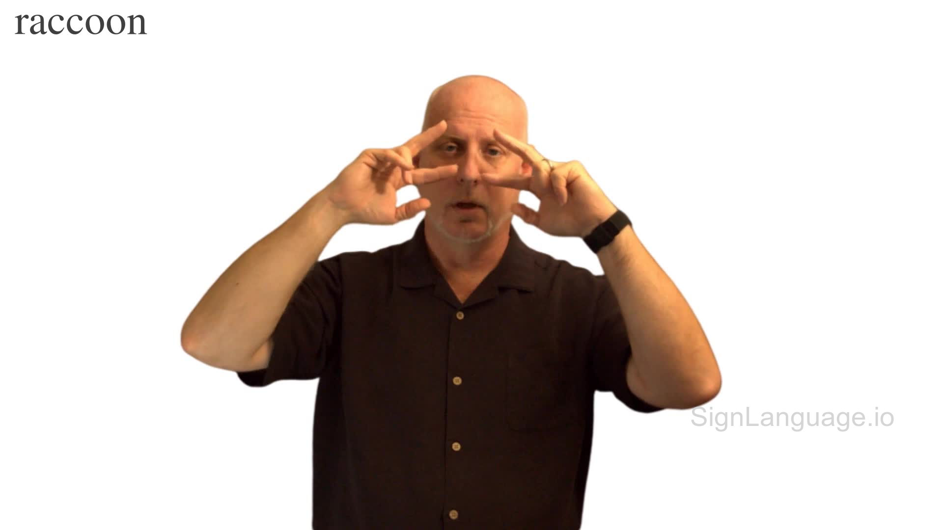 raccoon in ASL - Example # 1 - American Sign Language