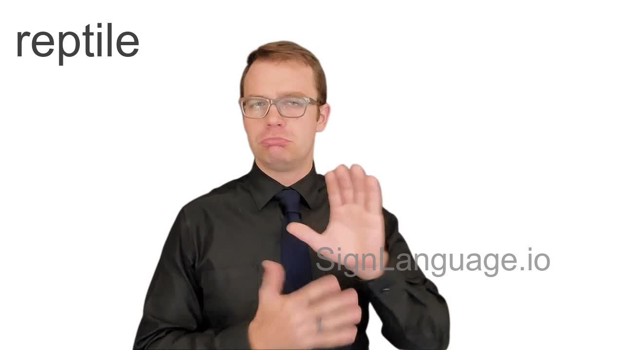 reptile in ASL - Example # 4 - American Sign Language