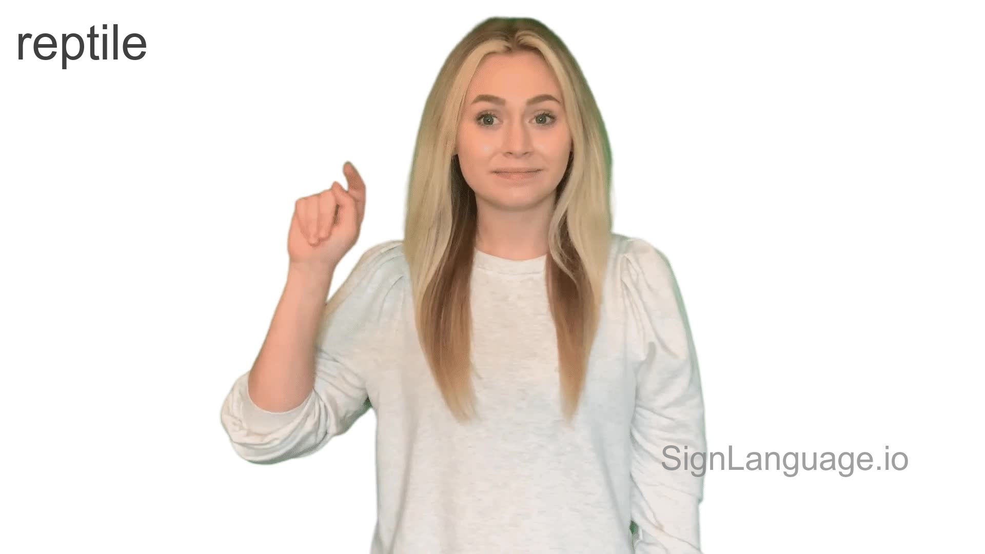 reptile in ASL - Example # 3 - American Sign Language