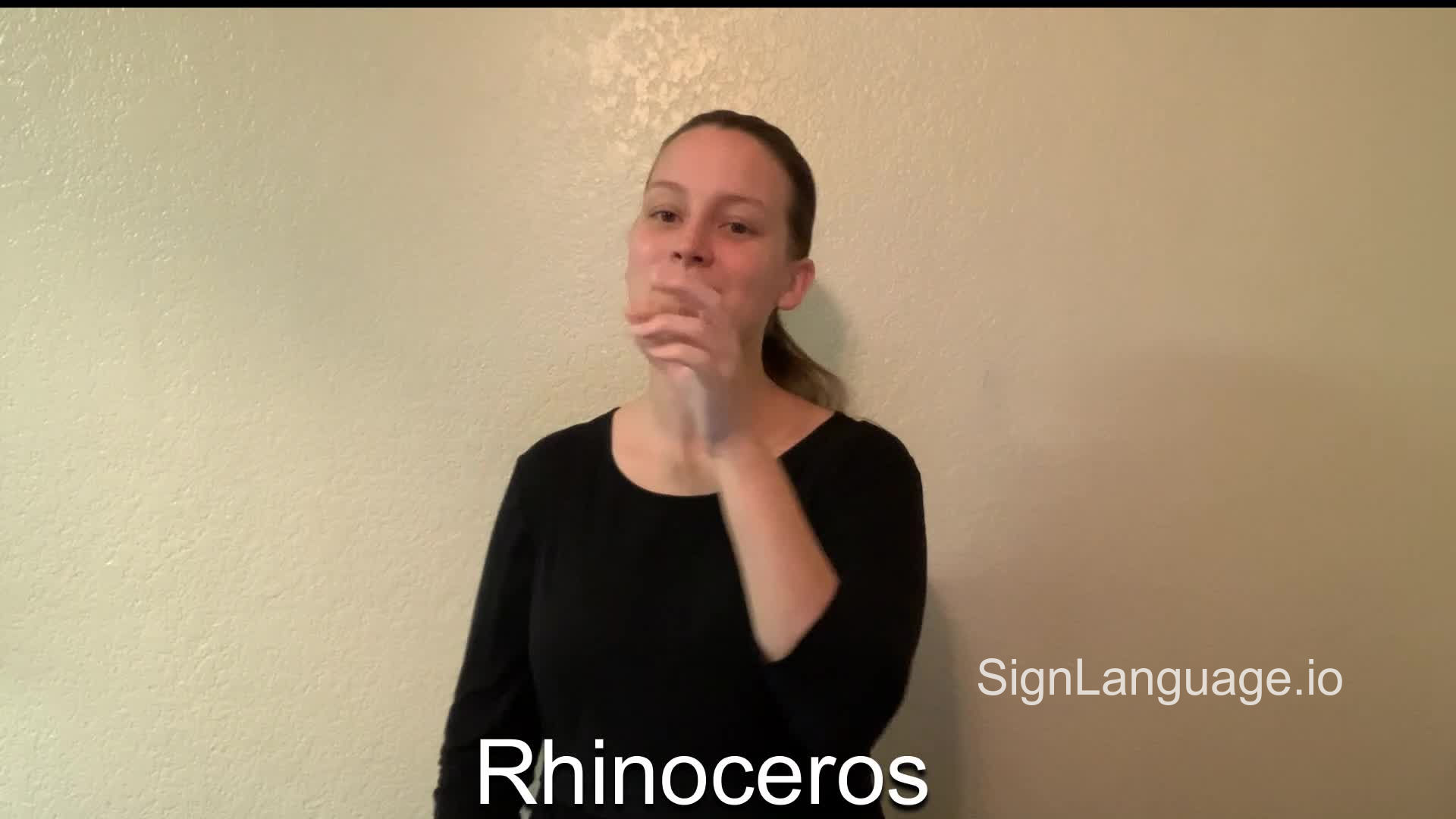 rhinoceros in ASL - Example # 2 - American Sign Language