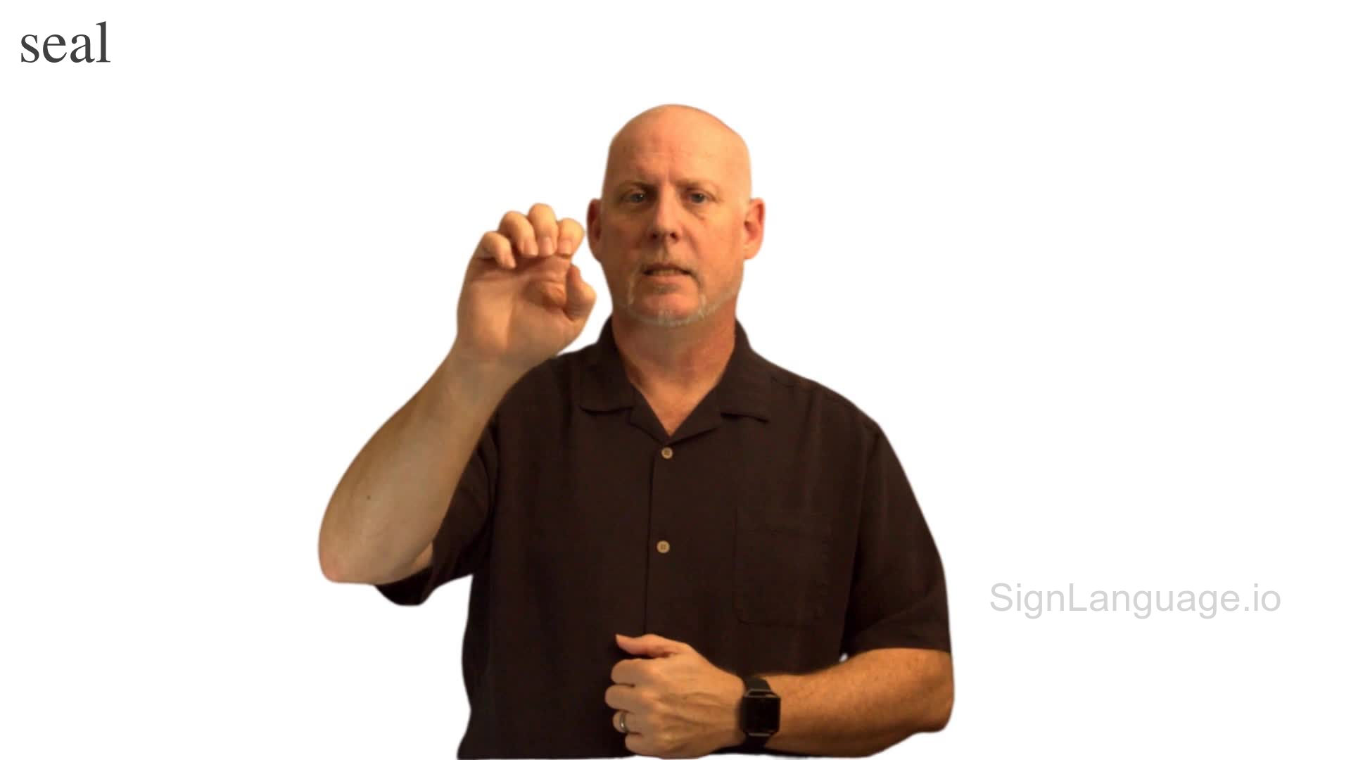 Seal in ASL - American Sign Language - 2 Video Examples
