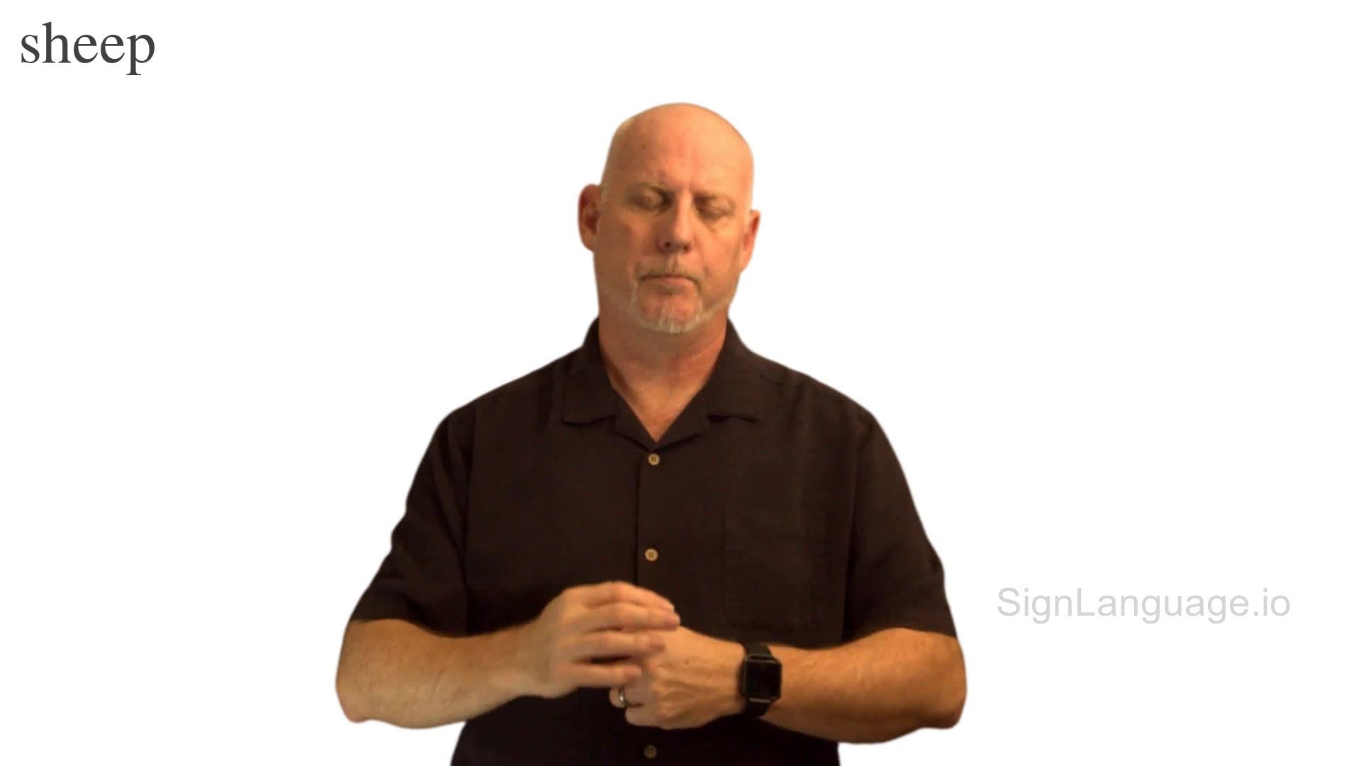 sheep in ASL - Example # 2 - American Sign Language