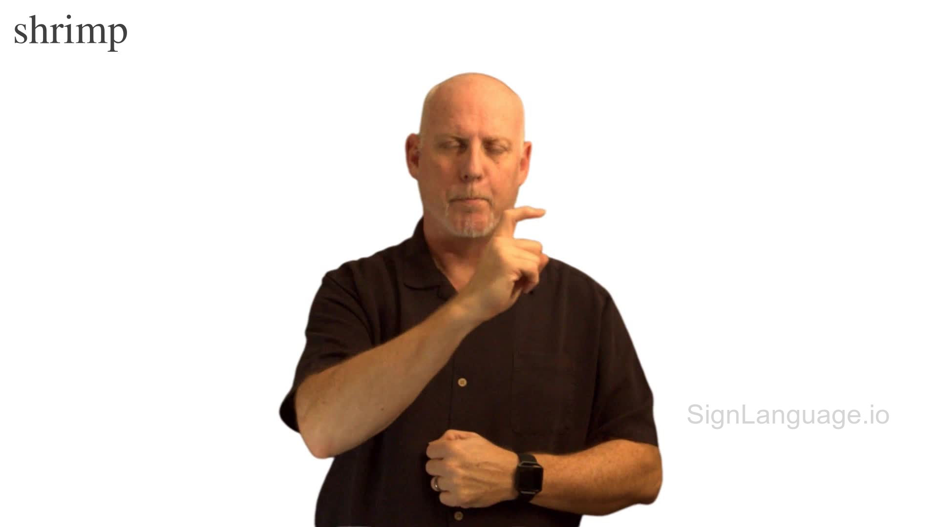 shrimp in ASL - Example # 1 - American Sign Language