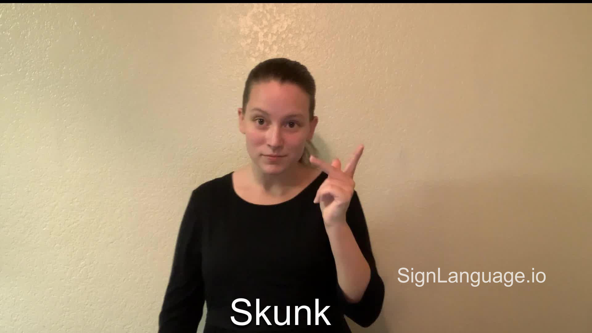 skunk in ASL - Example # 2 - American Sign Language
