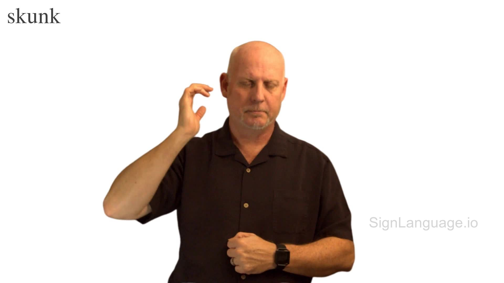 skunk in ASL - Example # 1 - American Sign Language