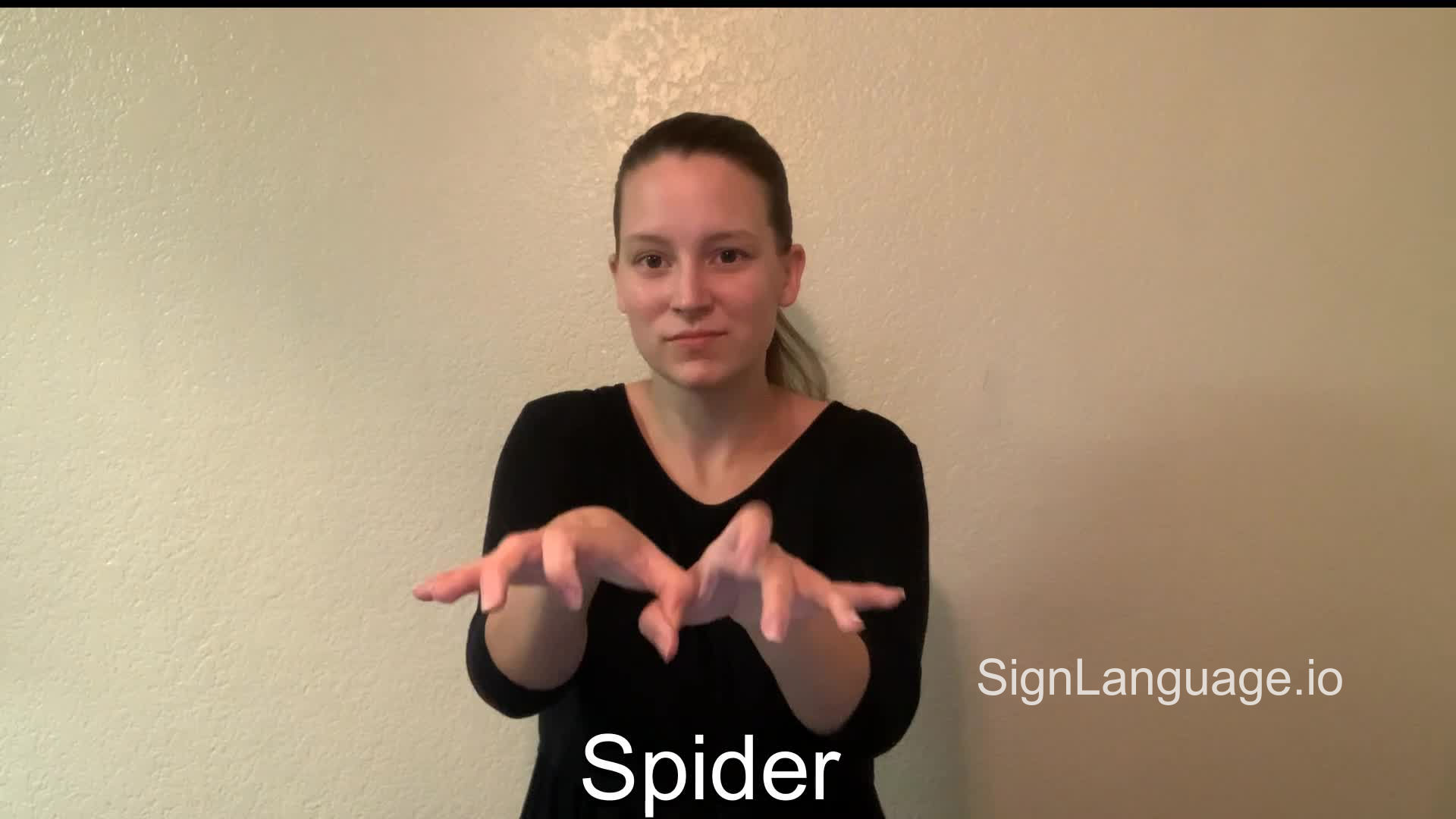 spider in ASL - Example # 7 - American Sign Language