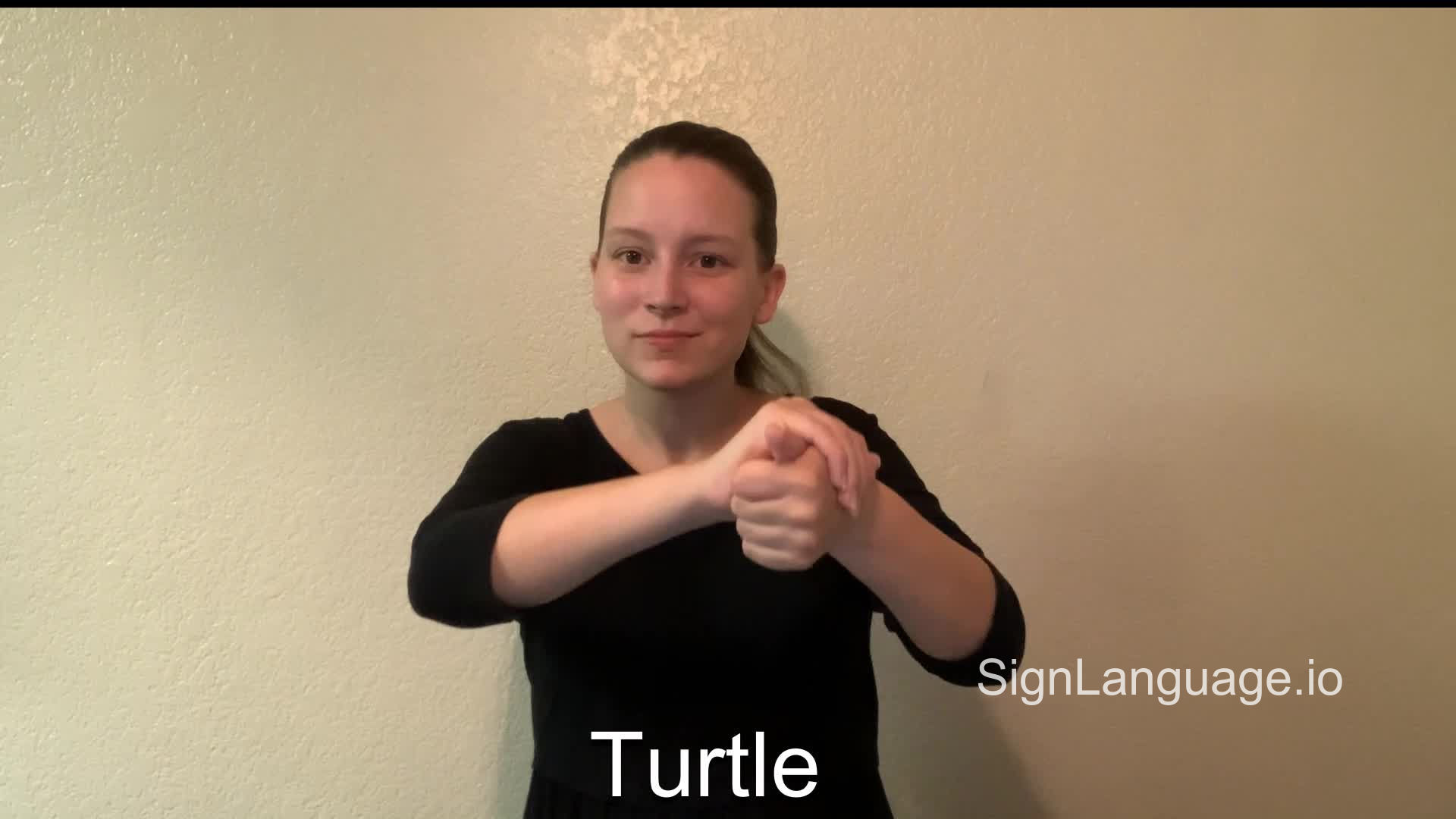 turtle in ASL - Example # 5 - American Sign Language