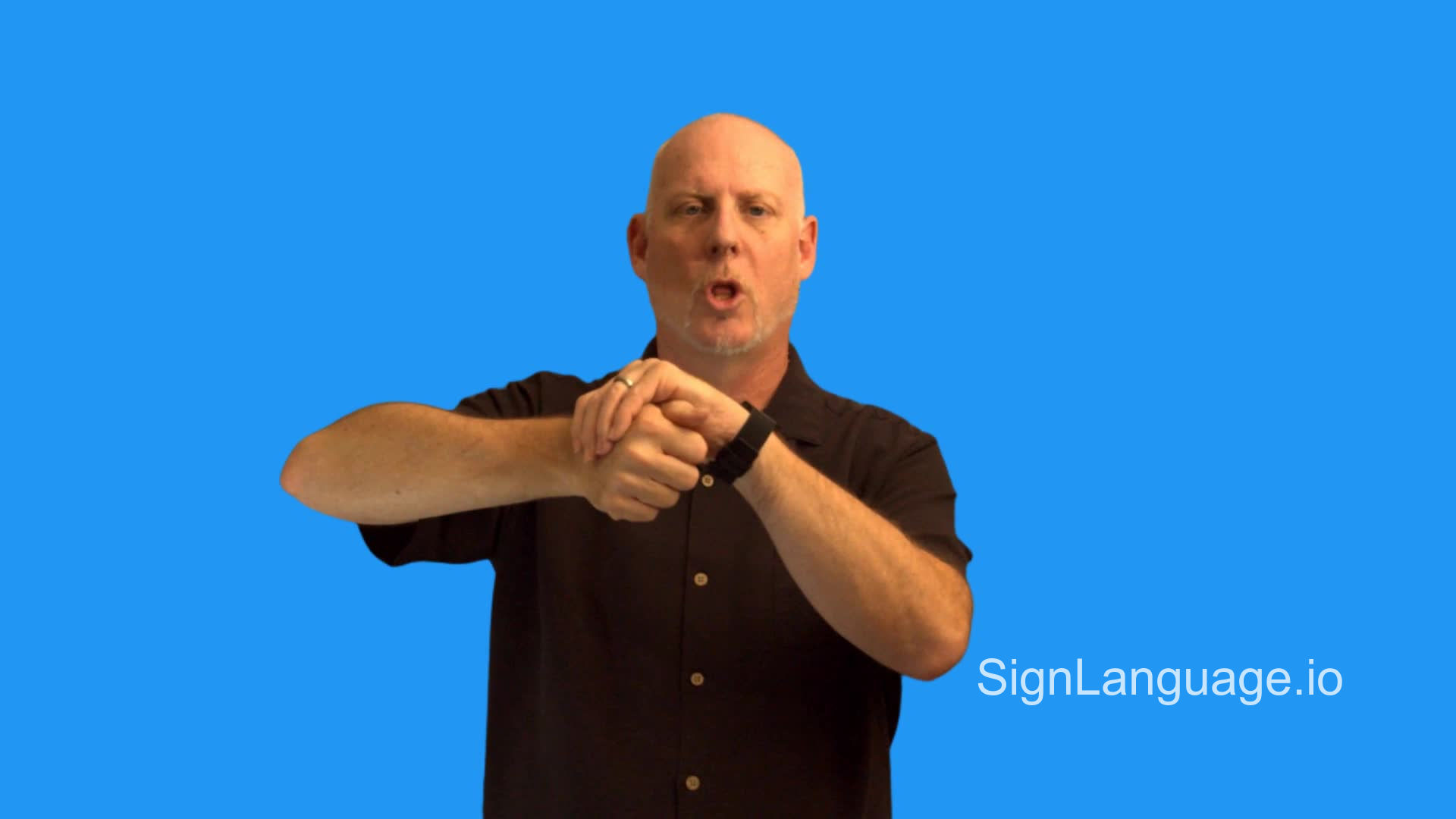 turtle in ASL - Example # 6 - American Sign Language
