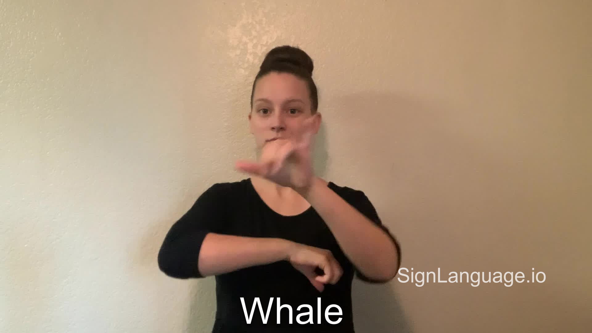 whale in ASL - Example # 2 - American Sign Language