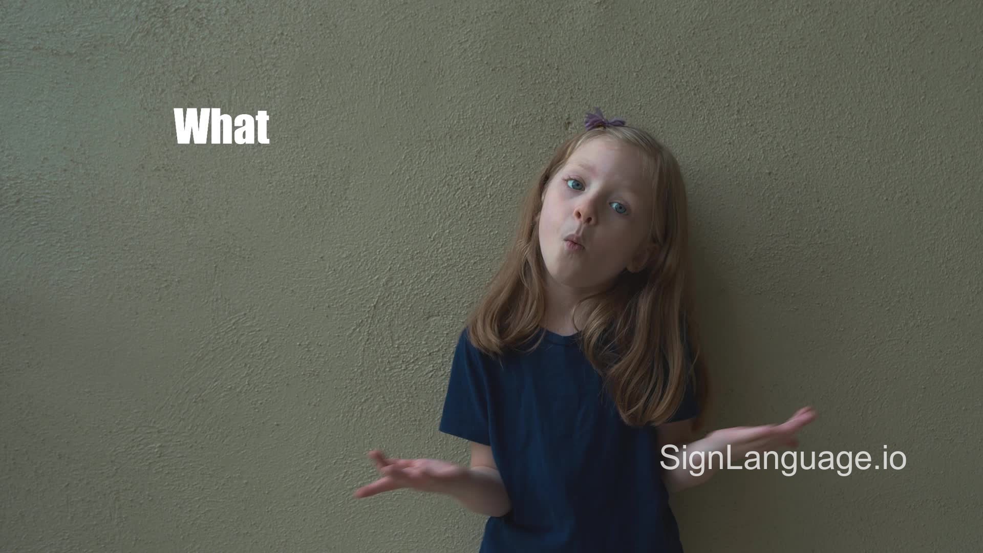 what in ASL - Example # 3 - American Sign Language