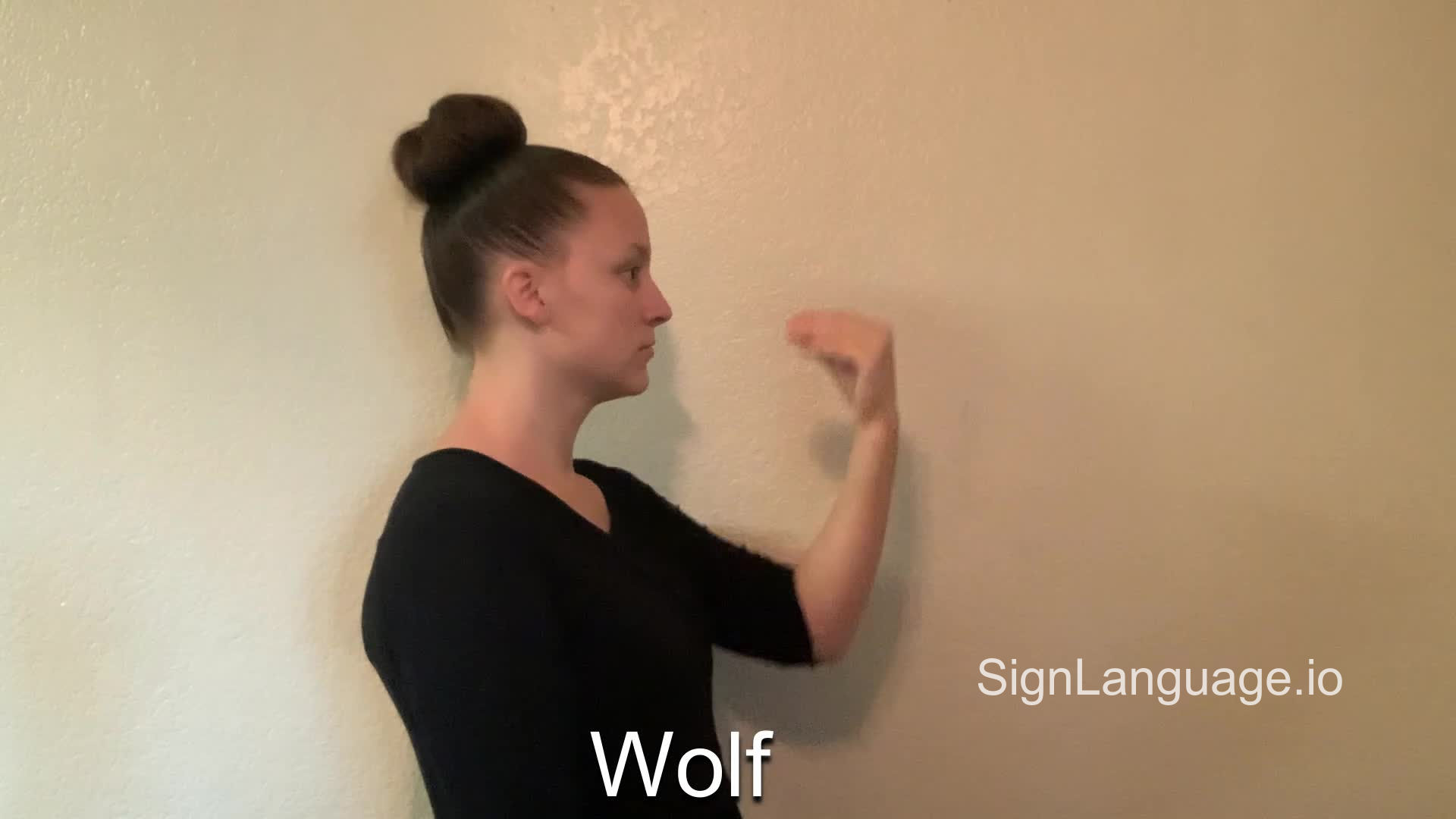 wolf in ASL - Example # 5 - American Sign Language