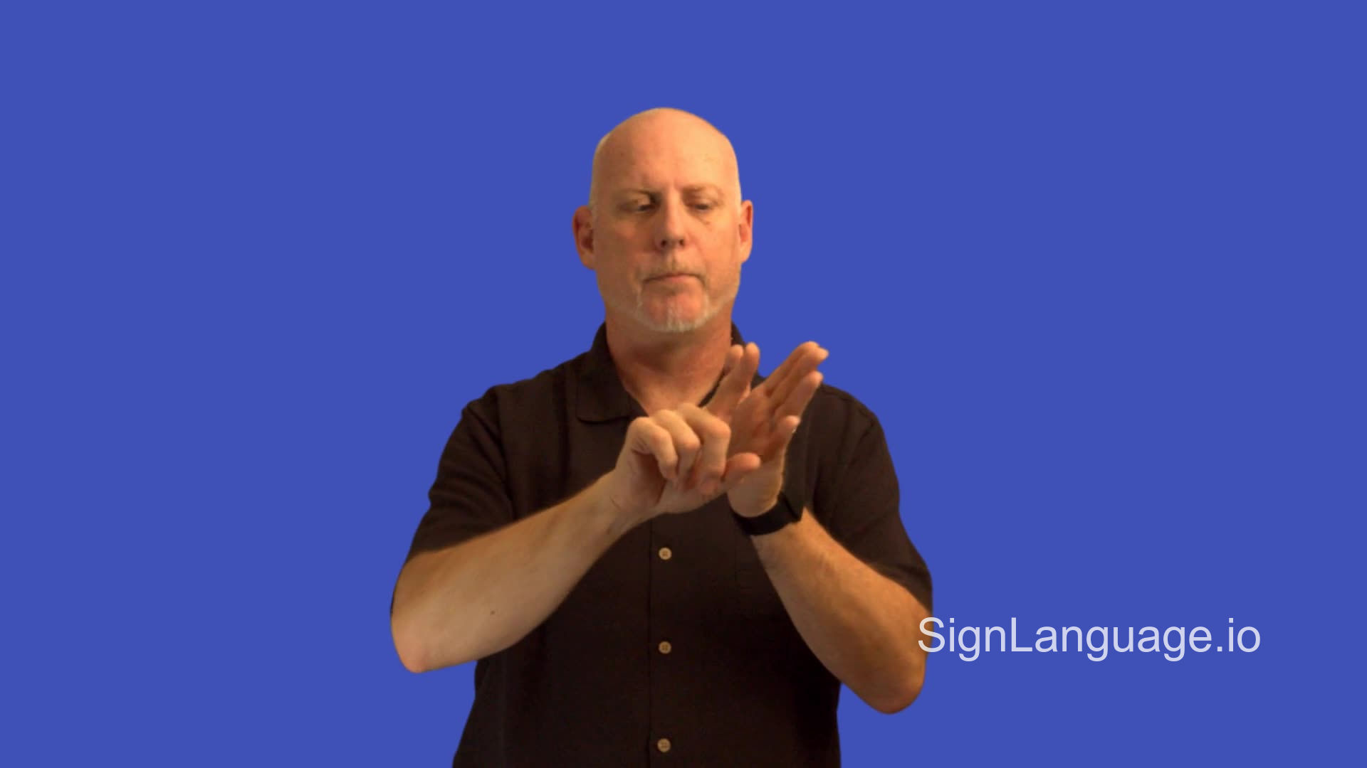 worm in ASL - Example # 1 - American Sign Language